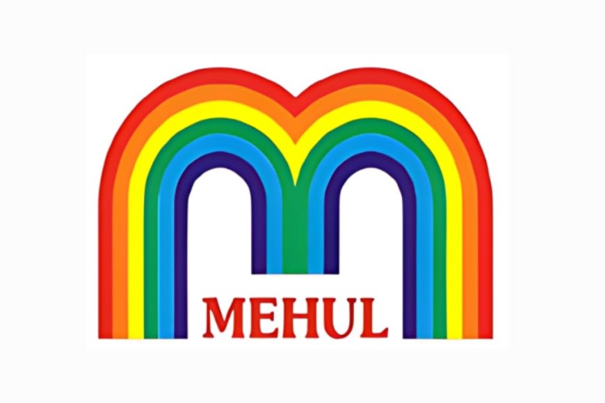 Mehul Colours Limited IPO Opens on 30th July, 2025 - Logical India